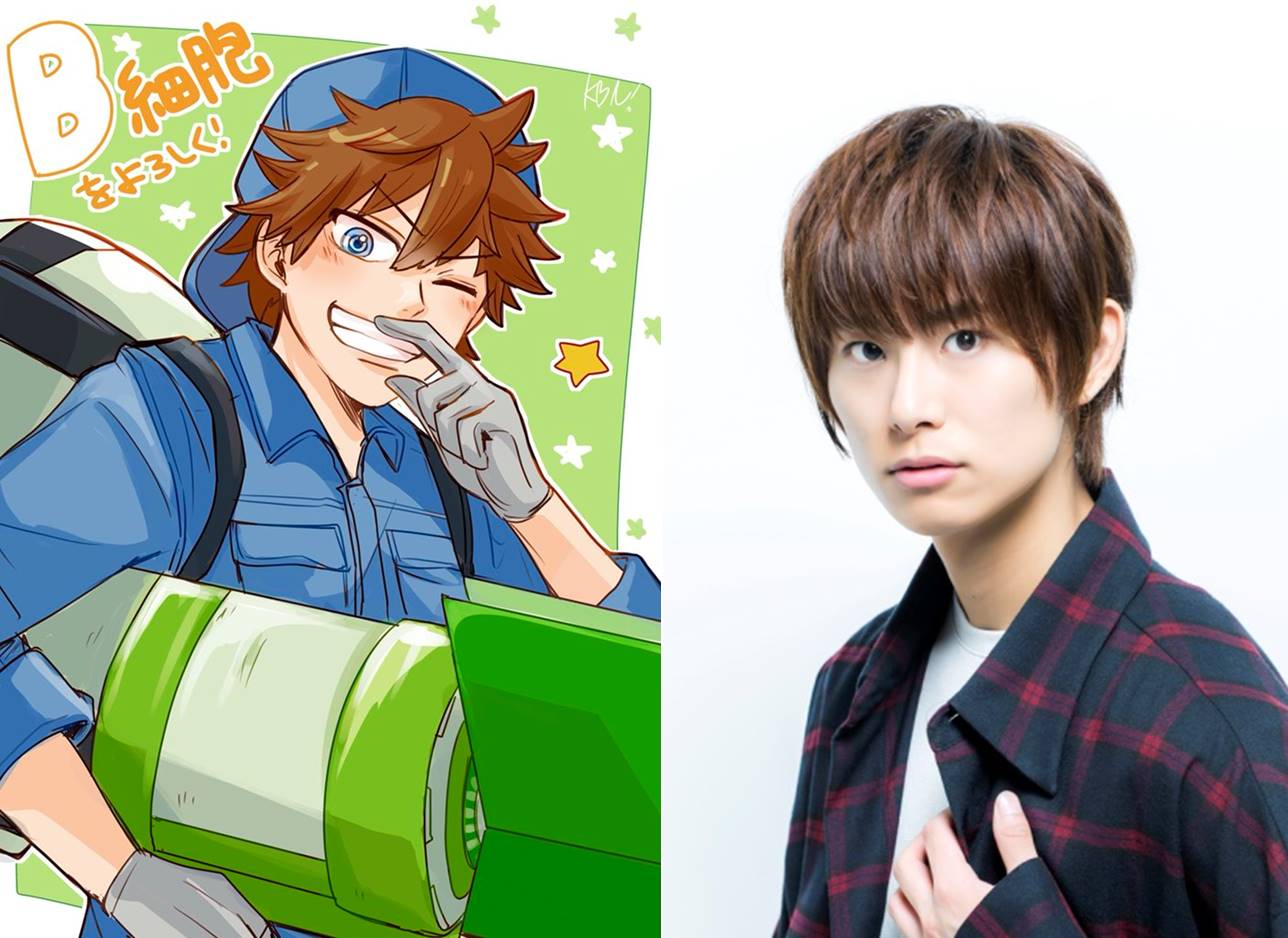 Cells at Work! (Hataraku Saibou) live-action stage play to held in ...