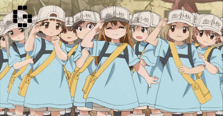 Cells at Work! (Hataraku Saibou) live-action stage play to held in ...