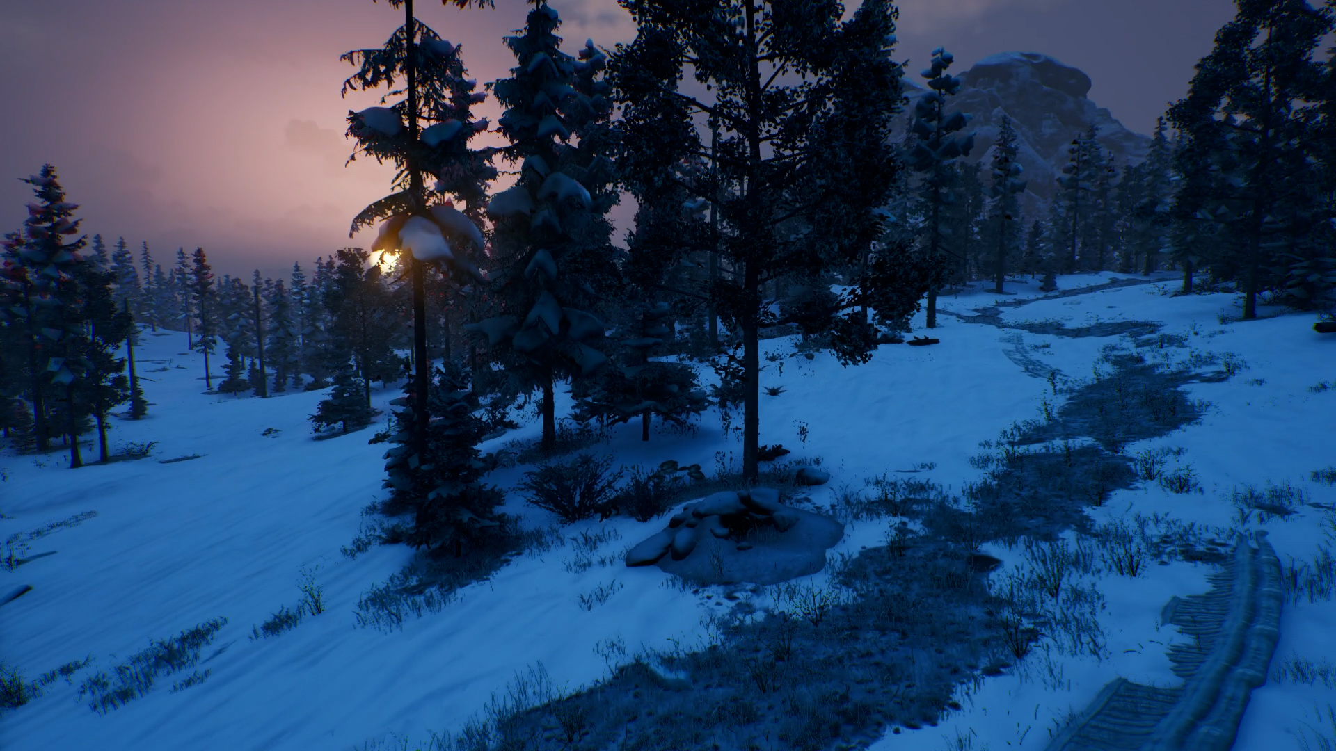 Open Country Preview — Enjoying nature with your dog by your side ...