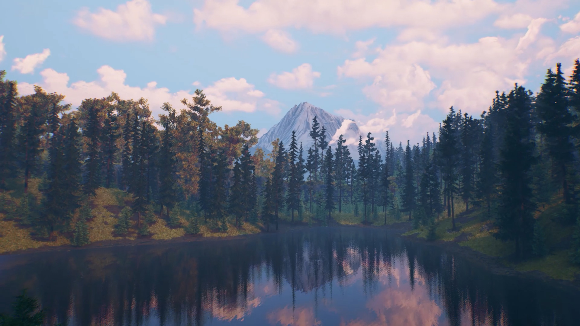 Open Country Preview — Enjoying nature with your dog by your side ...