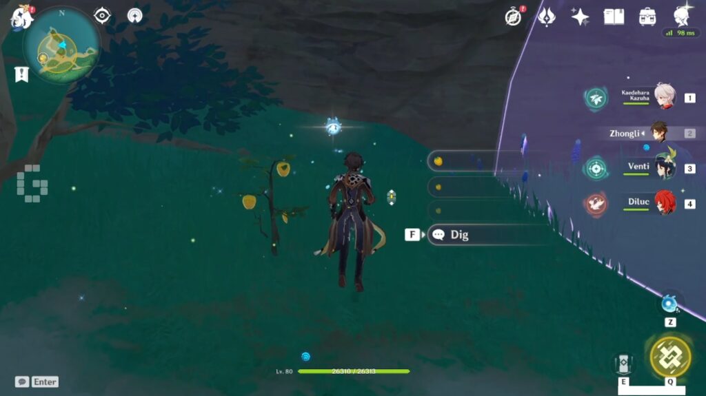 [ Guide ] Genshin Impact: Lost Seelie in Inazuma - GamerBraves