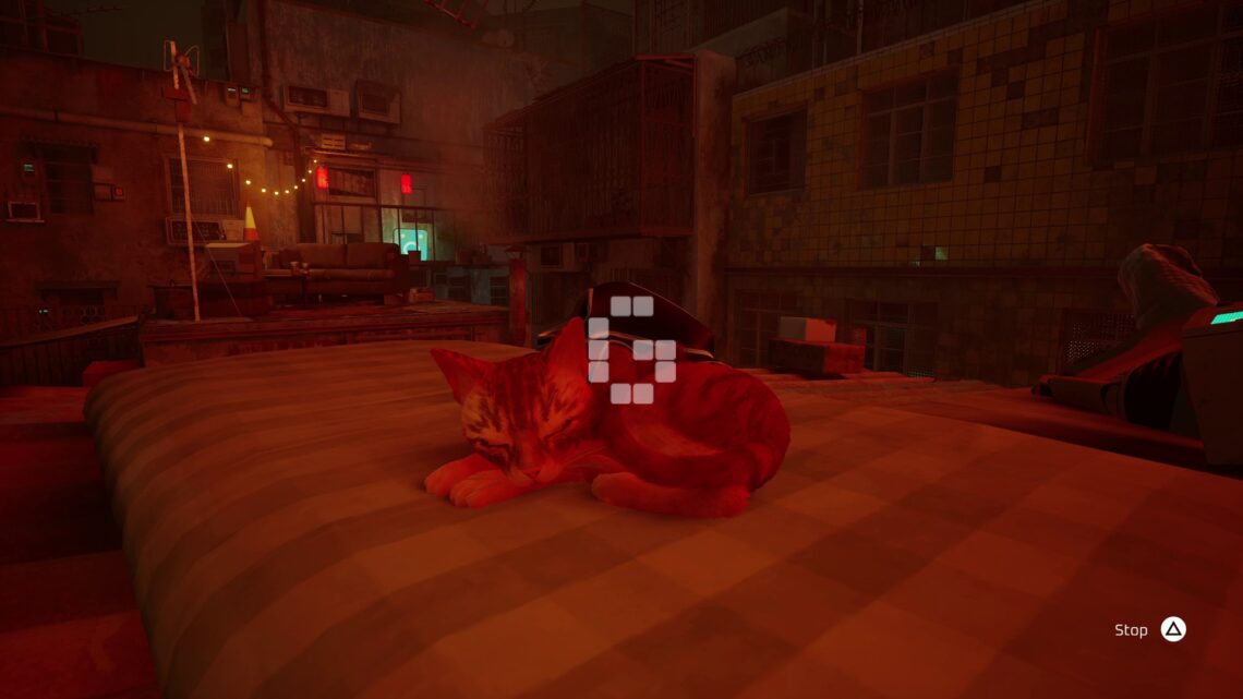 Stray Review - A Pawsitive Experience - GamerBraves