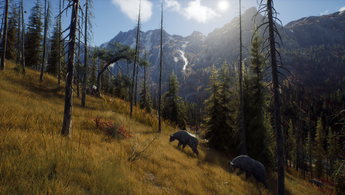 Way of the Hunter Review - I Learn the Ways Of Ethical Hunting So That ...