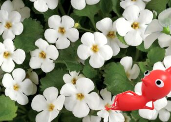 [Guide] Snowbreak: Containment Zone – How to Reroll - GamerBraves